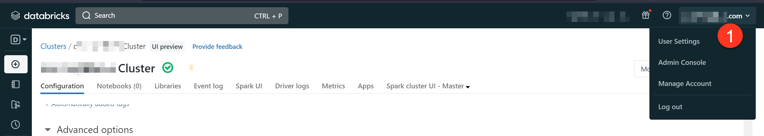 Databricks - Direct Connect and Reverse Engineer – SqlDBM
